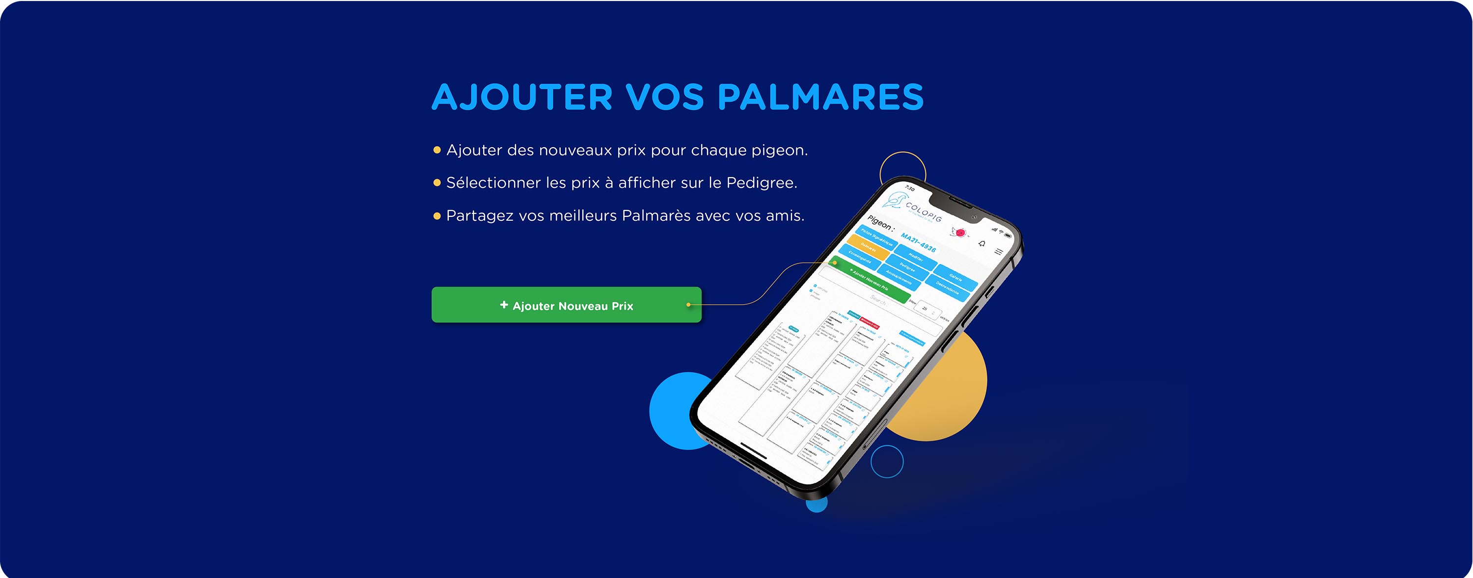 COLOPIG | ALL YOU NEED TO WIN